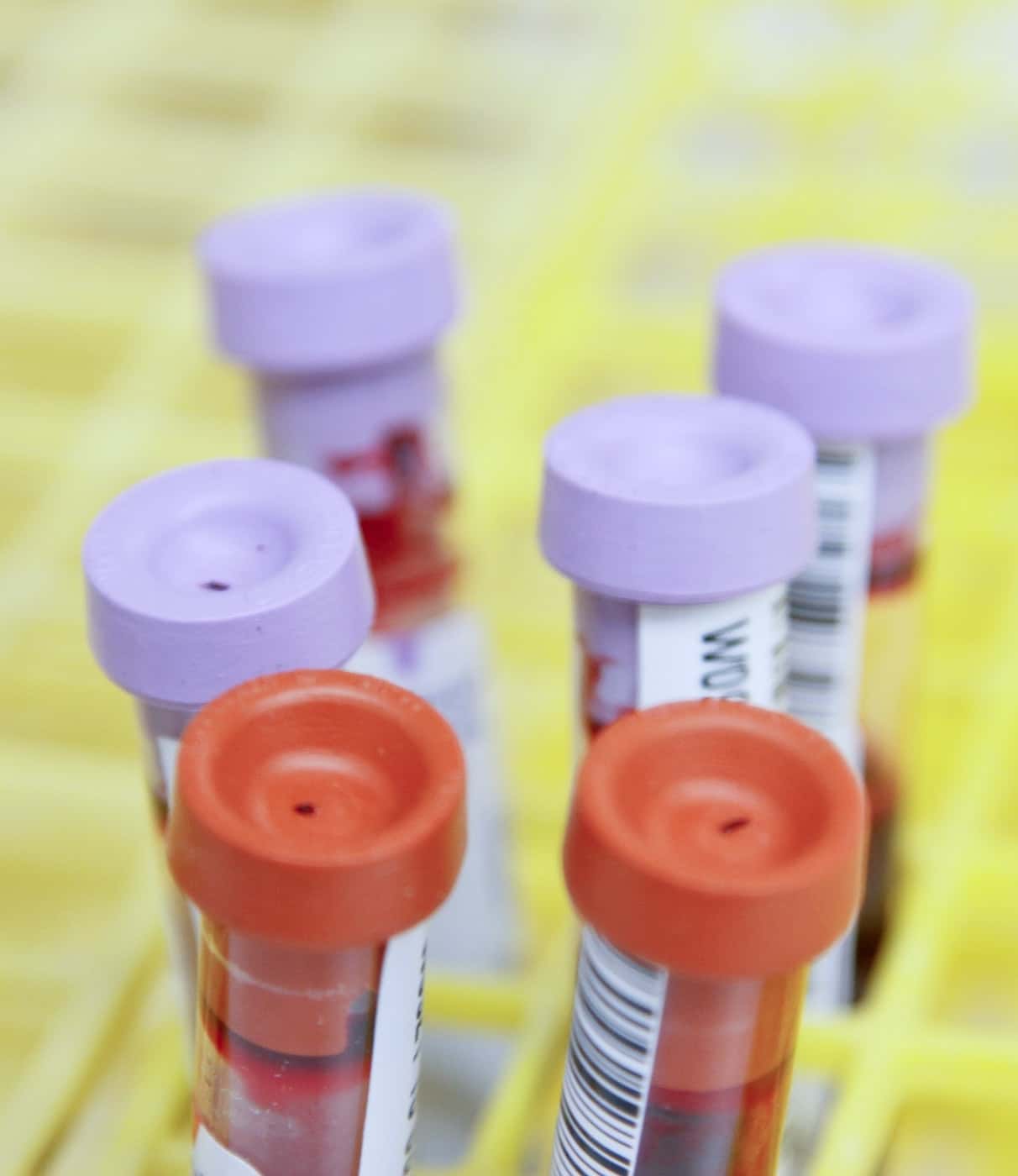 National Phlebotomy Technician CTE Program Training | Kaduceus